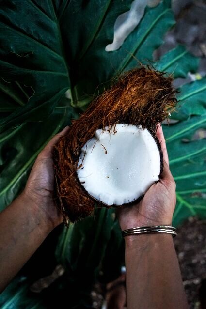 Coconuts